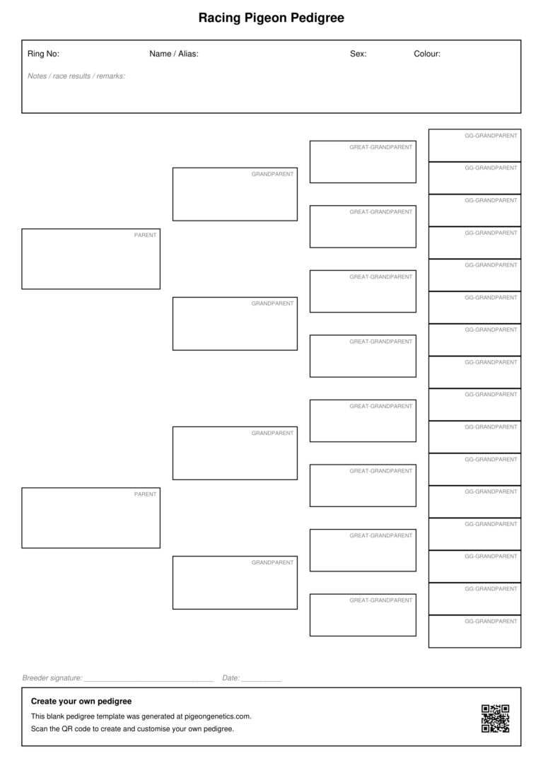 Pedigree templates – PigeonGenetics.com